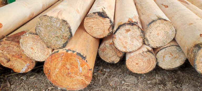 Madera Rolliza – Maderas Ariary
